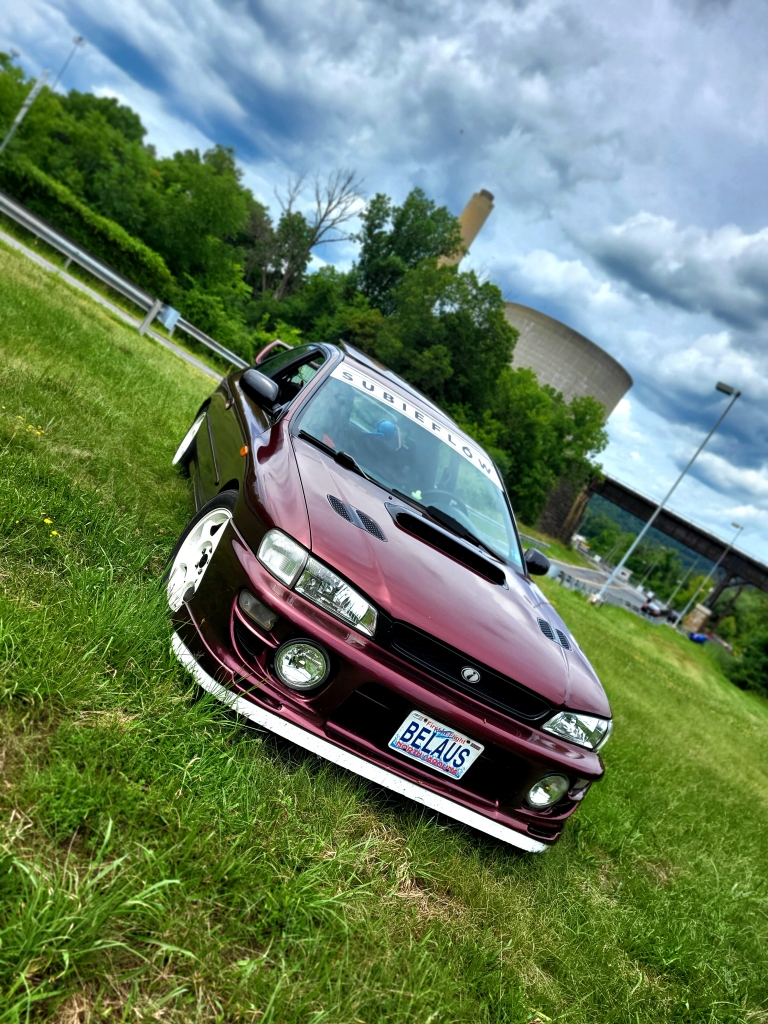 Boxerfest 2023 Attendees - Boxerfest