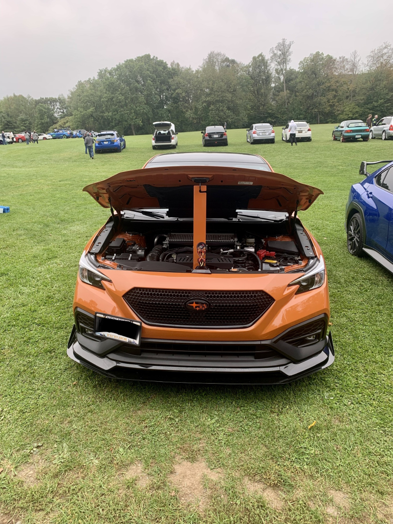 Boxerfest 2024 Attendees - Boxerfest